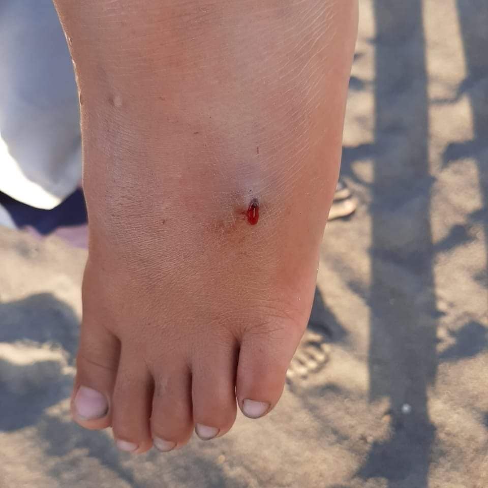 más y más Pensativo derrocamiento picadura de manta ropa apilar Honorable