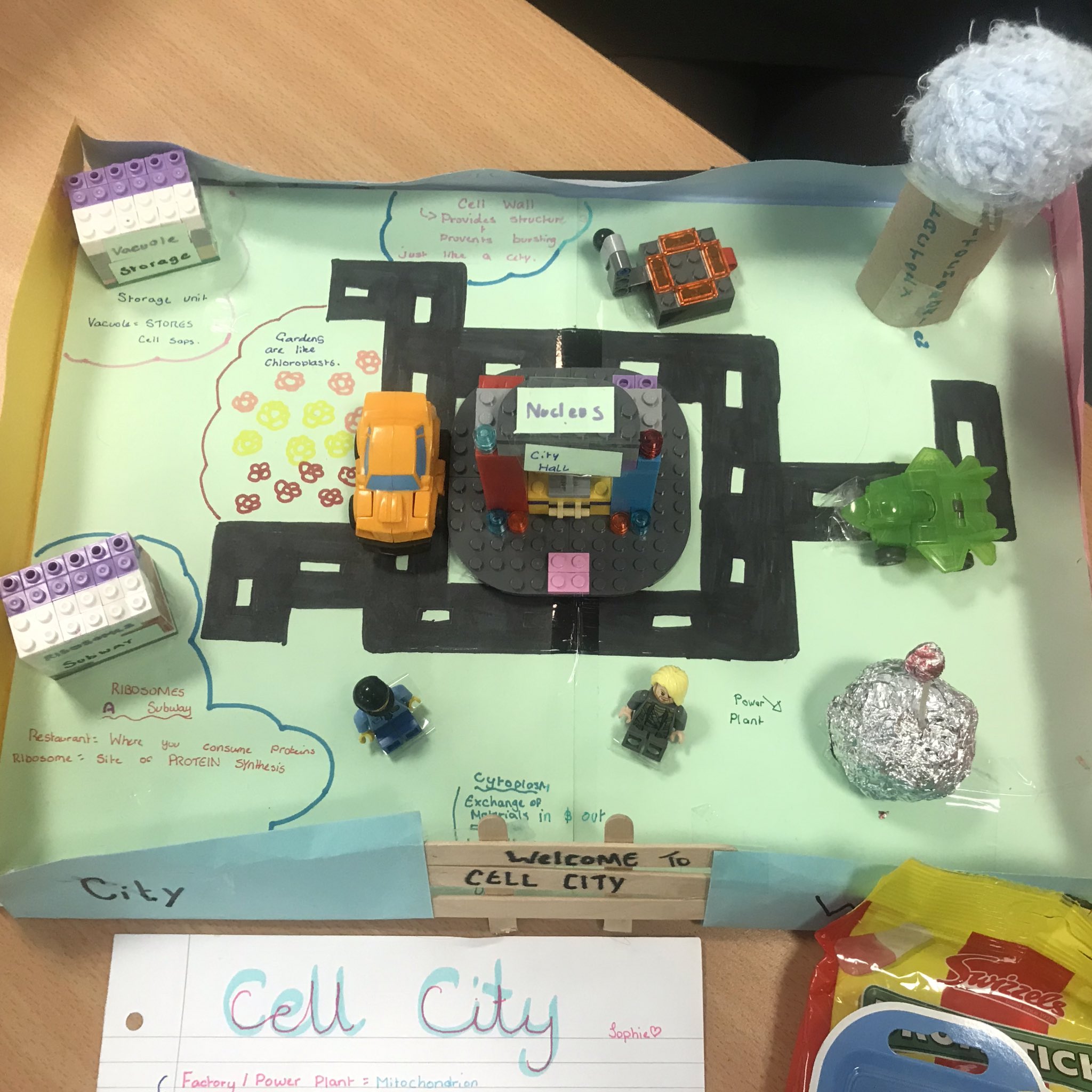 Cell City Project Model
