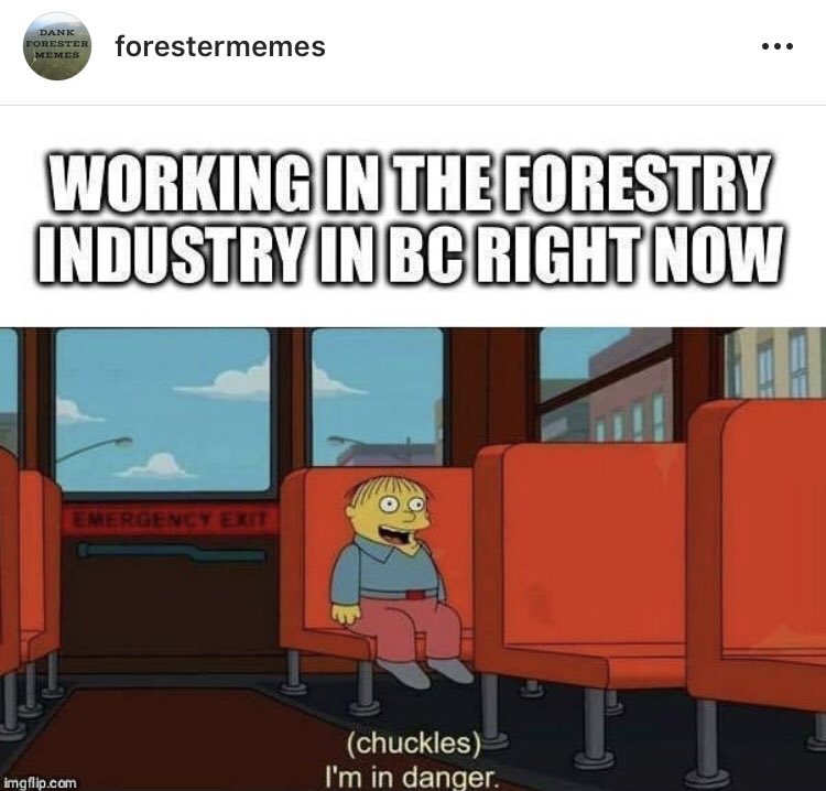 Forester Memes