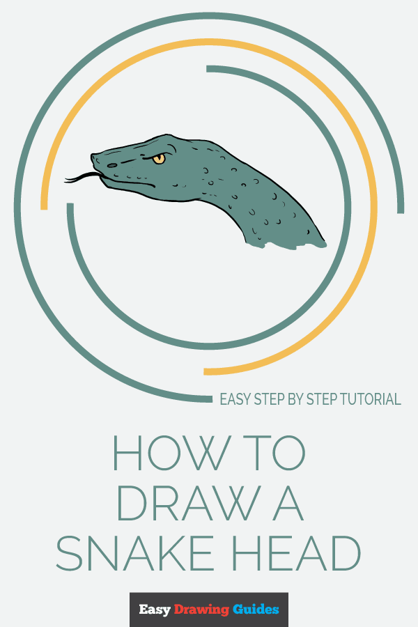 How To Draw A Snake Head
