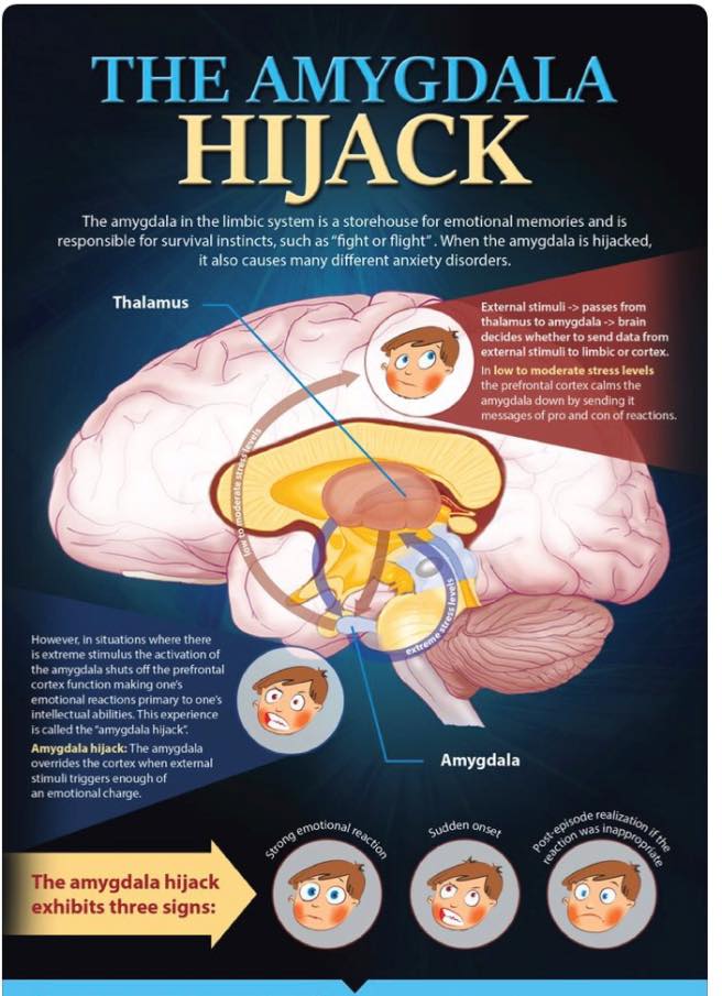 Limbic System Memes Add Funny Memes And Scenarios Here!! | Fandom
