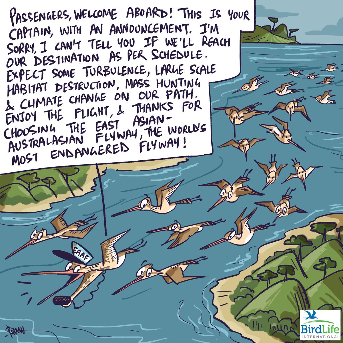 Bird Migration Cartoon