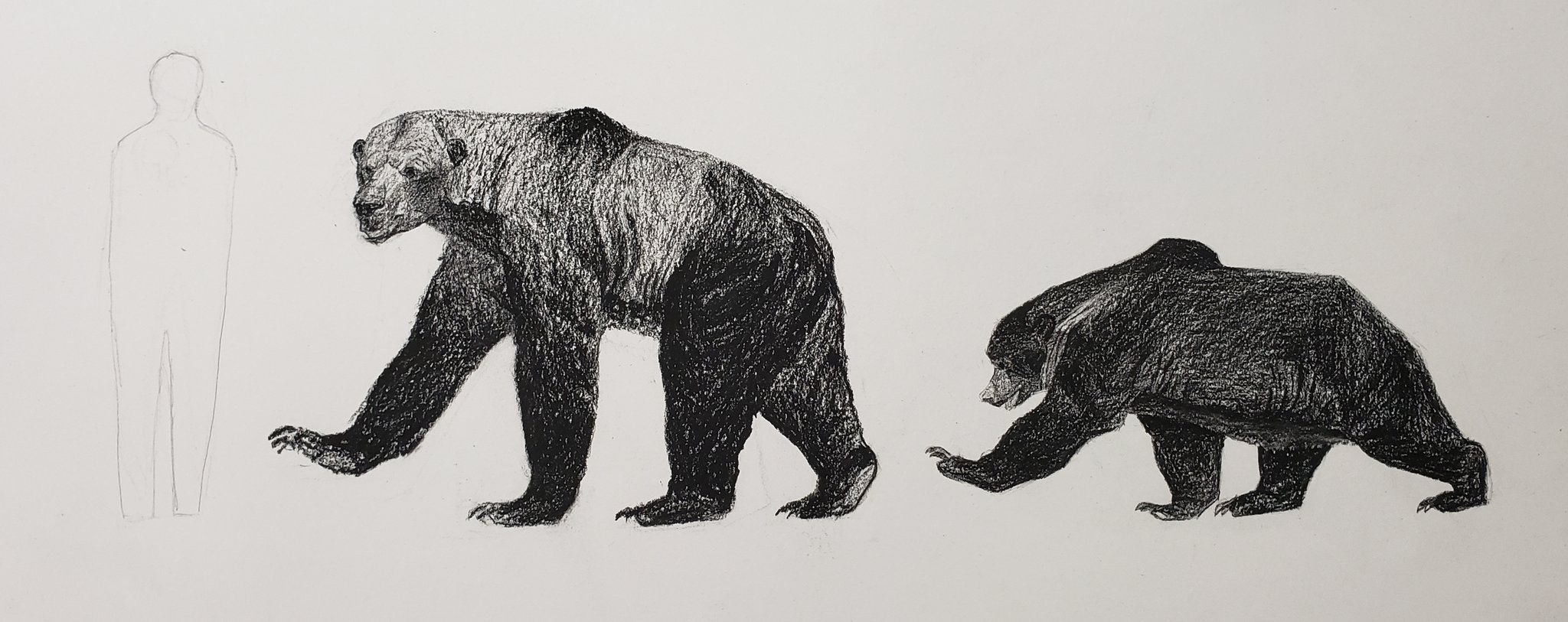 Short Faced Bear Vs Cave Bear