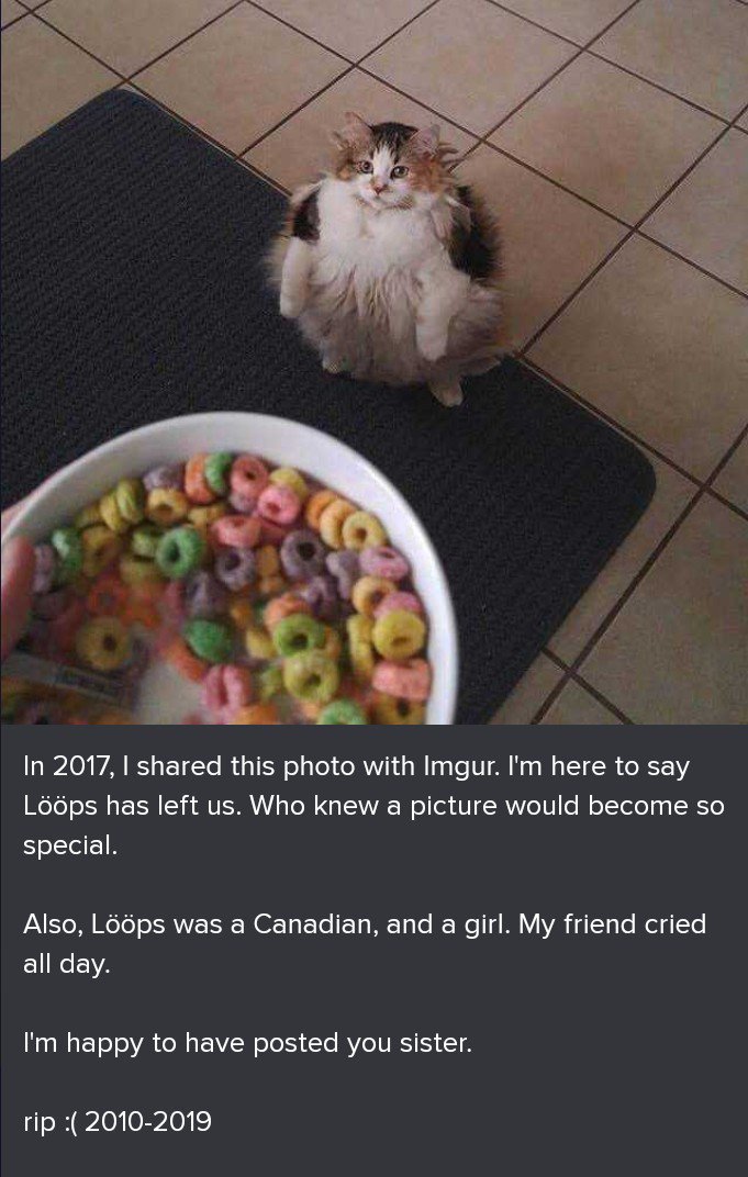 Fruit Loops Memes Brother May I Have Some Loops Mouse Pad
