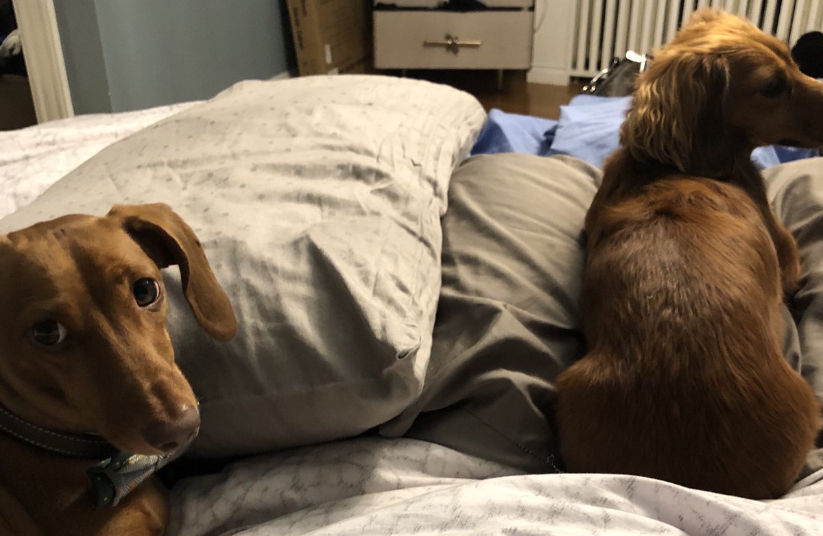 A Thread from @matthew_d_green: "I’m starting to wonder if any of these ...