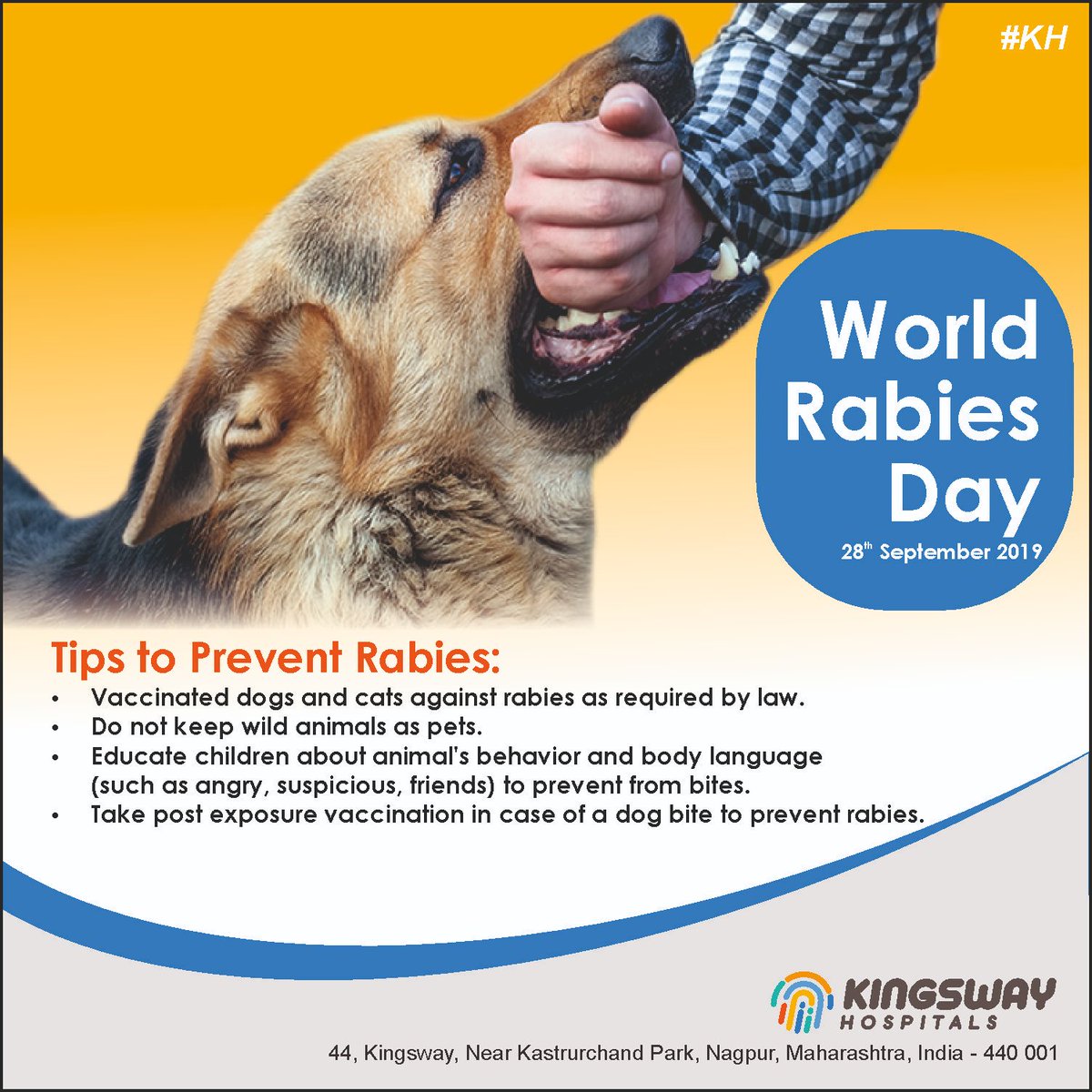 Is It Necessary To Take Rabies Injection After Dog Bite