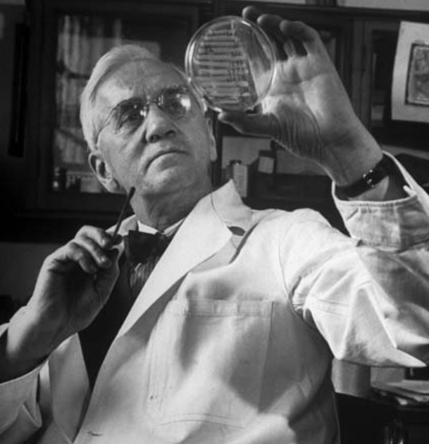 Sir Alexander Fleming Penicillin Discovery