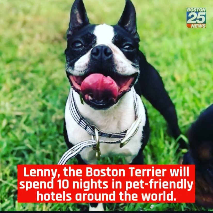 Hotel For Dogs Lenny