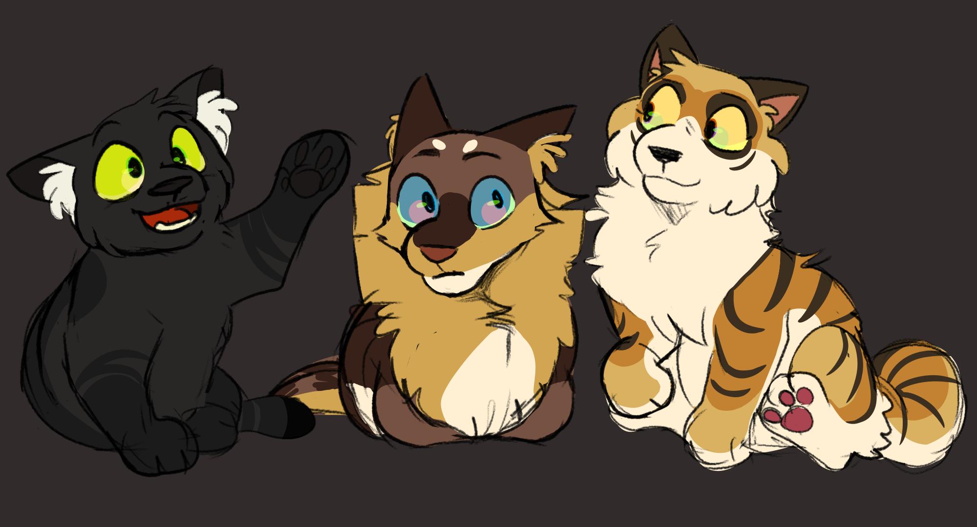 Warrior Cats Tadpole