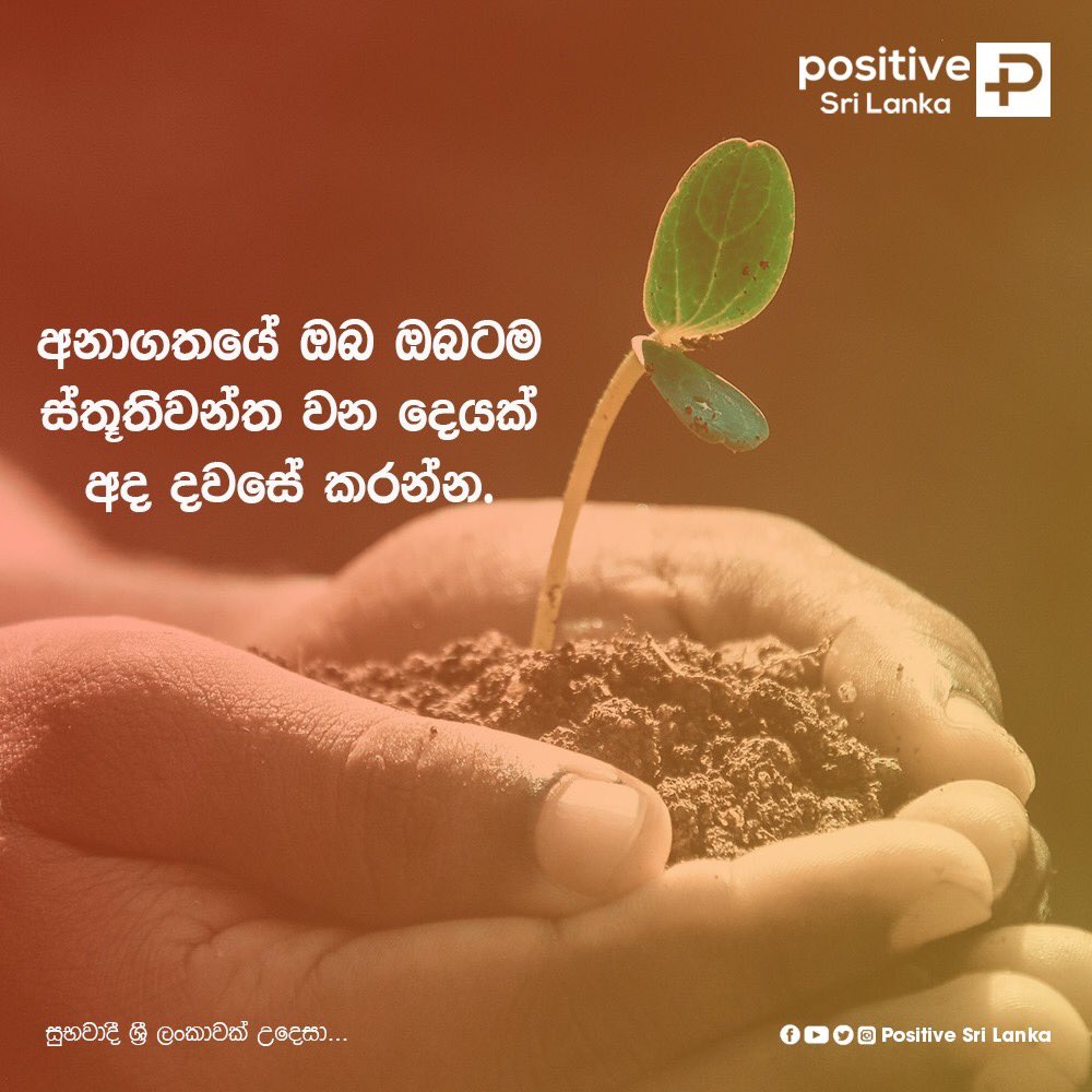 Sinhala Motivational Quotes 49 Sinhala Quotes Ideas | Quotes, Life