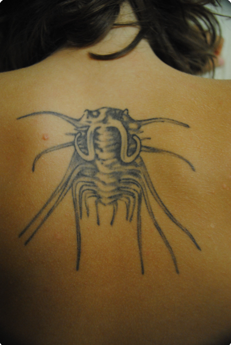 Trilobite Fossil Tattoo