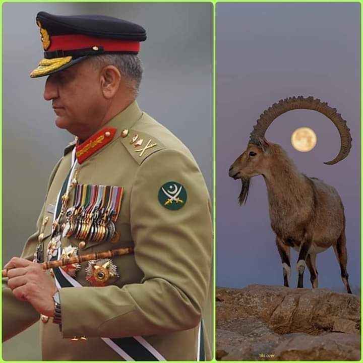 Rustam Ali Rahimoon (@RustamAliRahim1) | Twitter