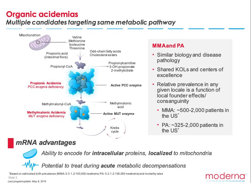 Methylmalonic Acidemia