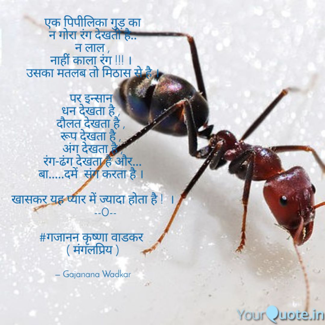 Hard Working Ants Quotes
