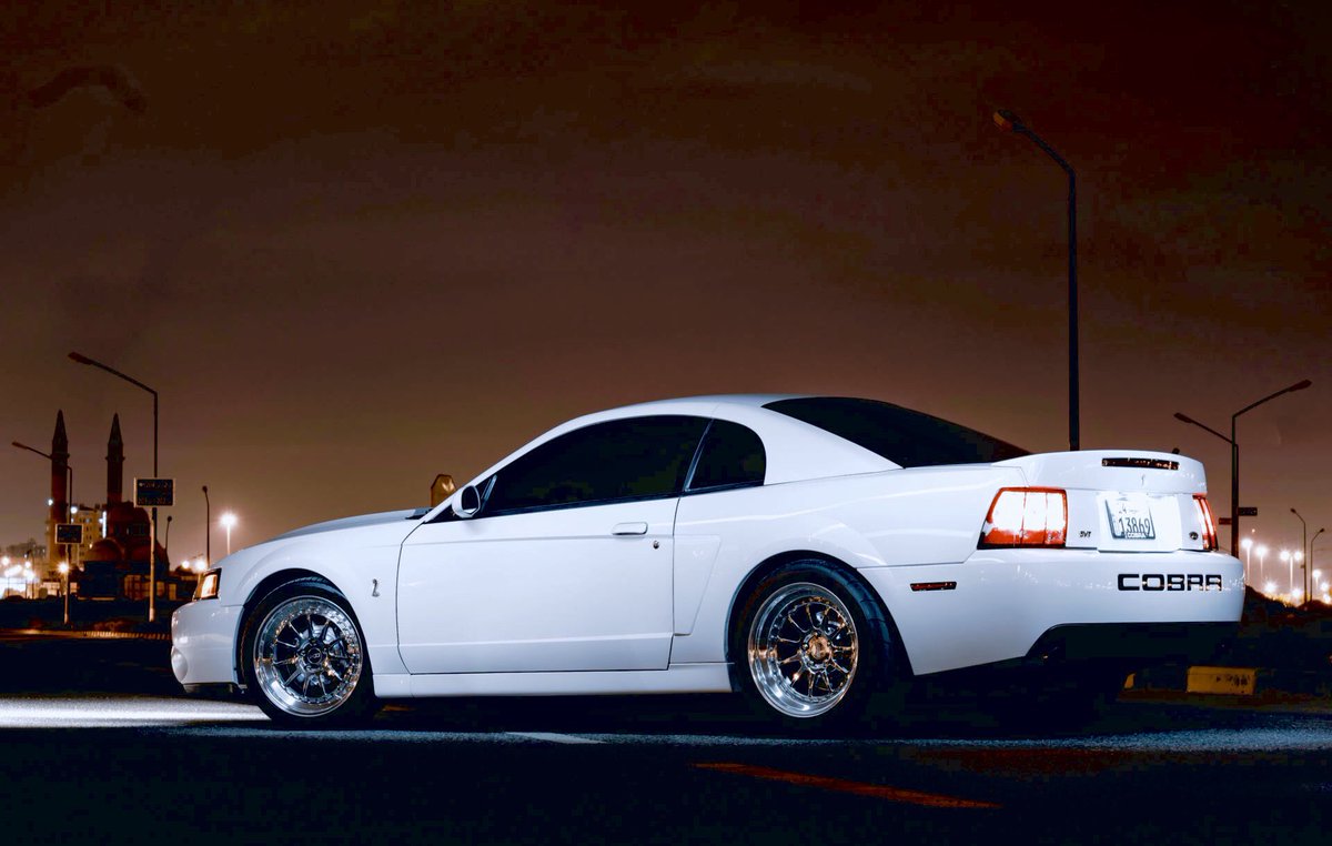 White Terminator Cobra