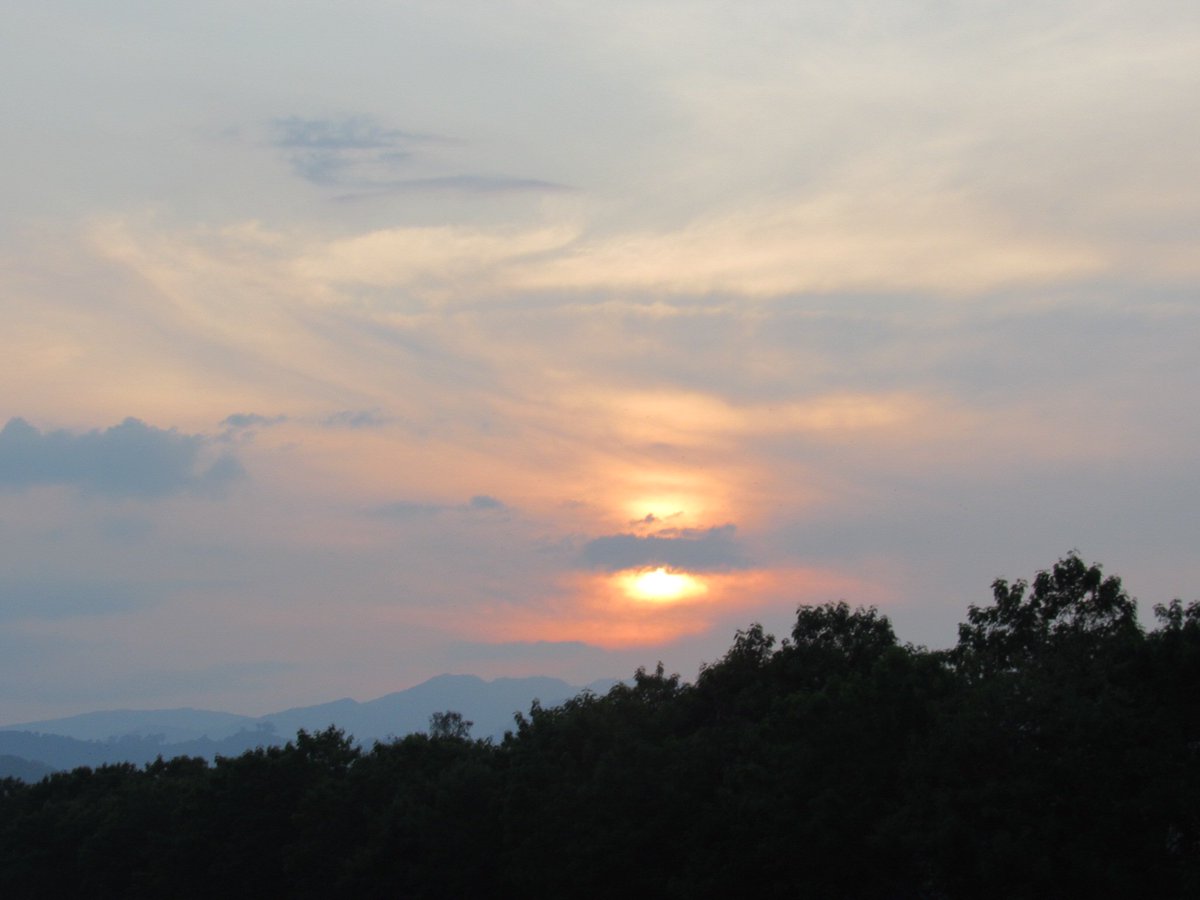 Niratchada (@Niratchada18) | Twitter