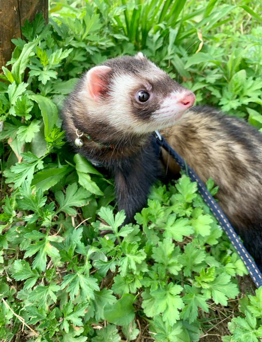 絶対氷結(@absolute_freez) - Twilog