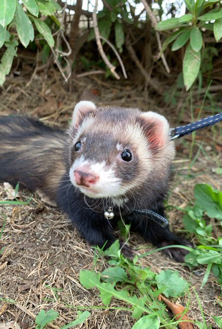 絶対氷結(@absolute_freez) - Twilog