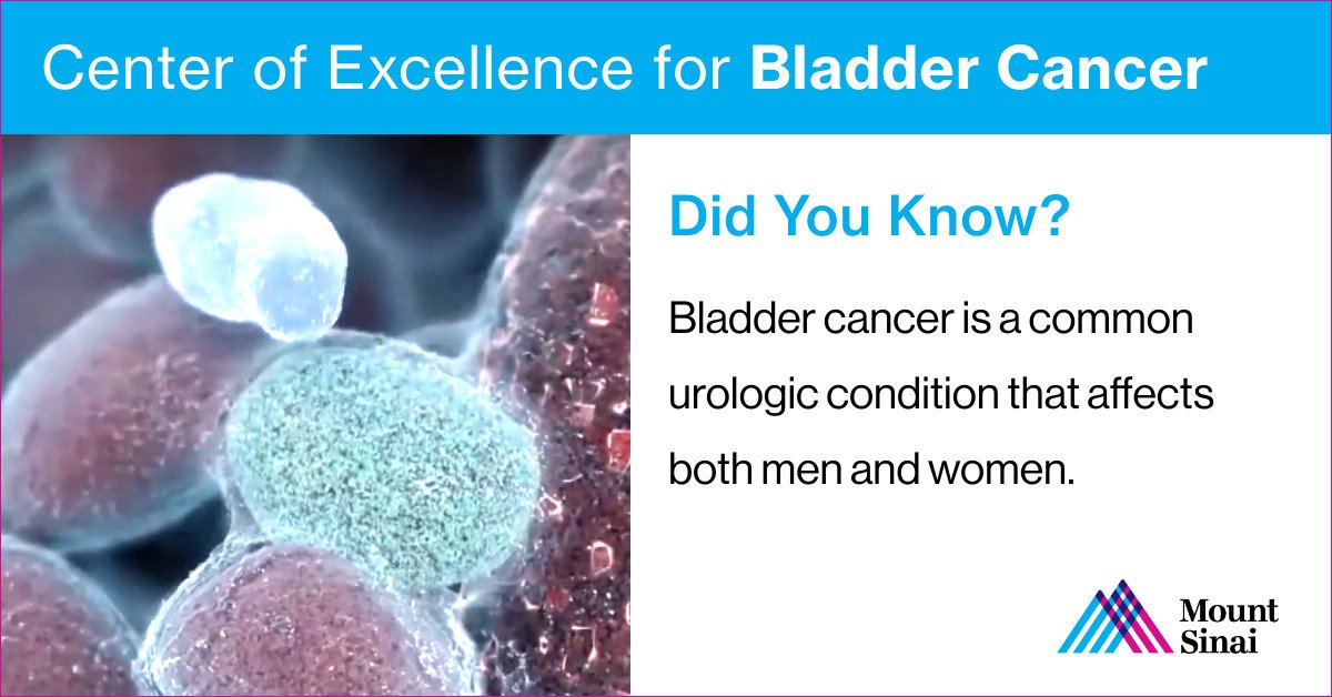 Bladder Cancer In Men