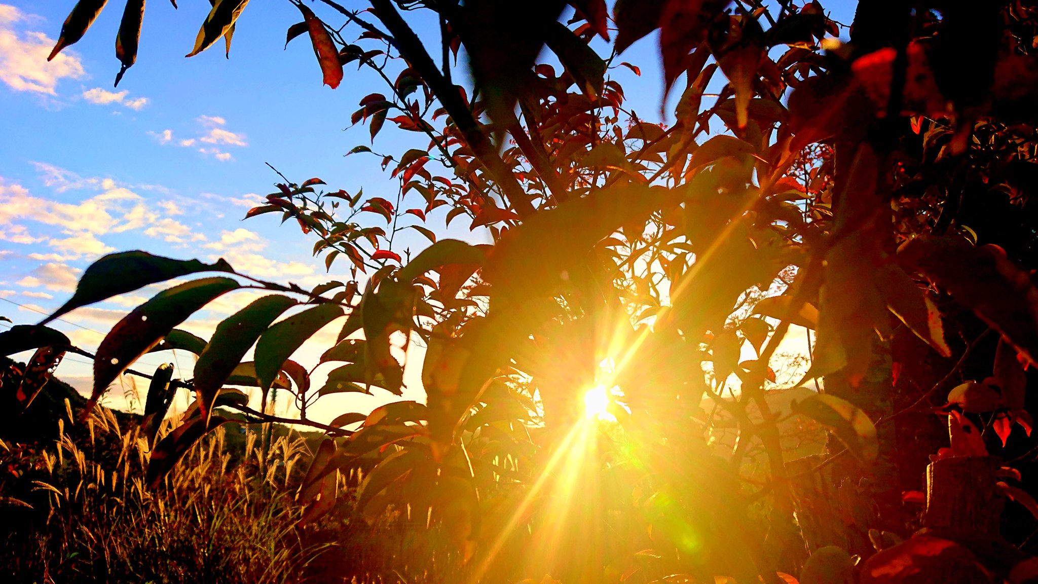 monkeyman🐒🌸 on Twitter: "thanks/today/is.......…