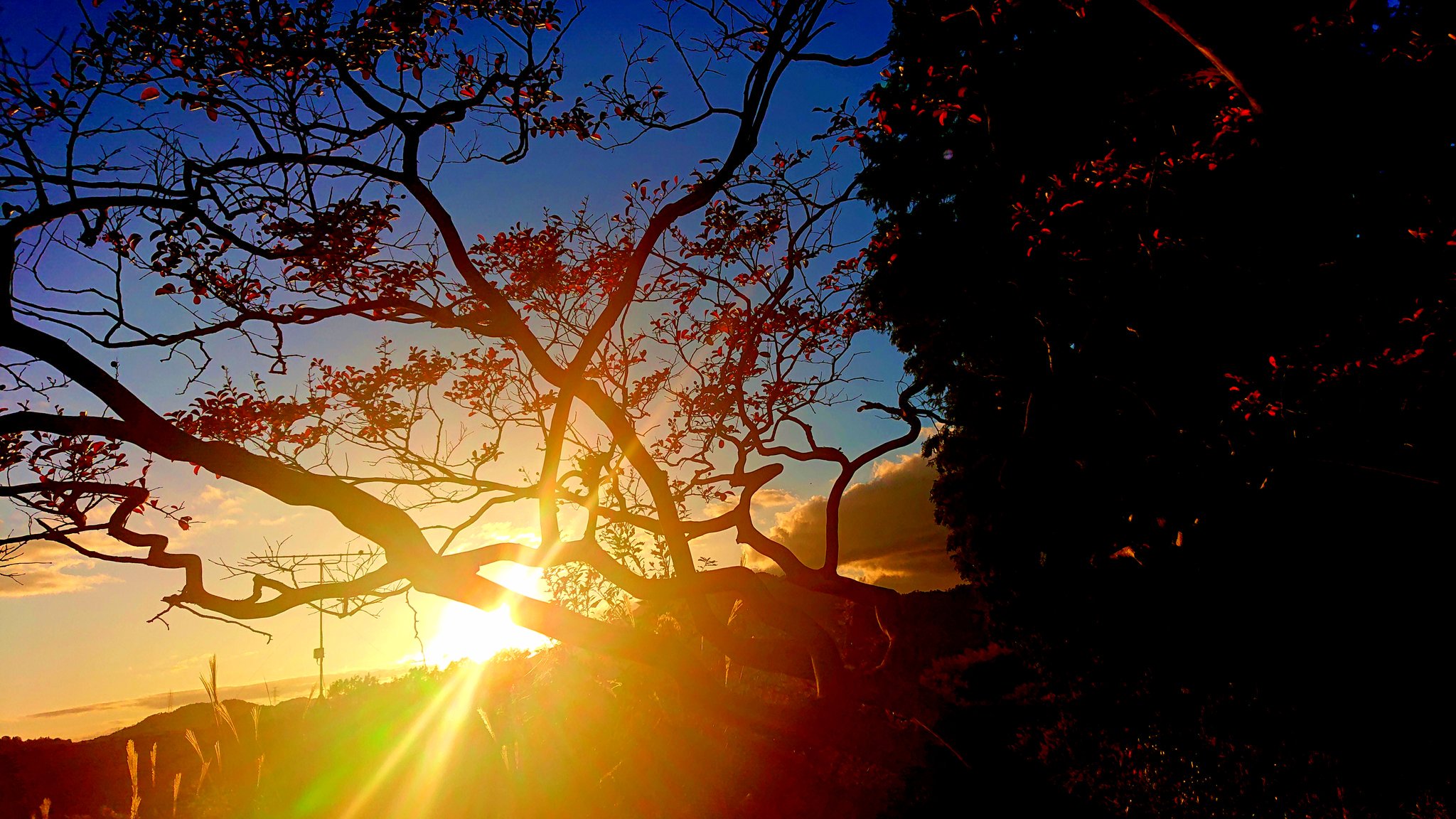 monkeyman🐒🌸 on Twitter: "thanks/today/is.......…