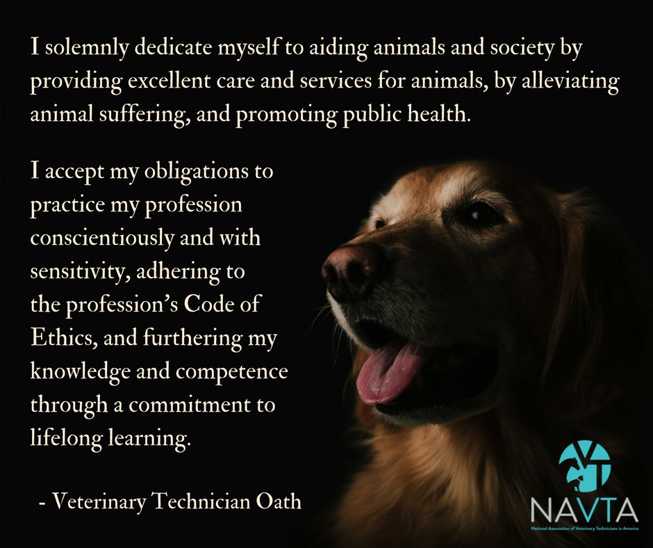 Veterinary Technician Oath