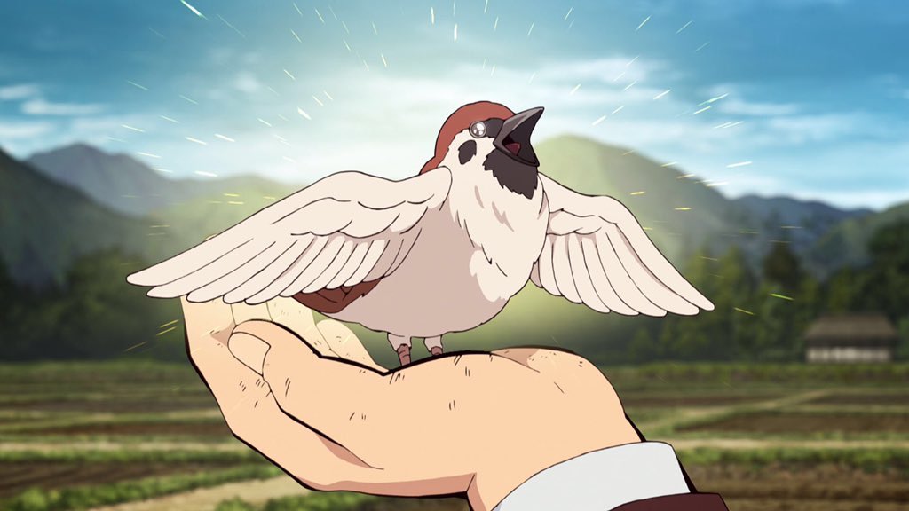 Anime Bird Names