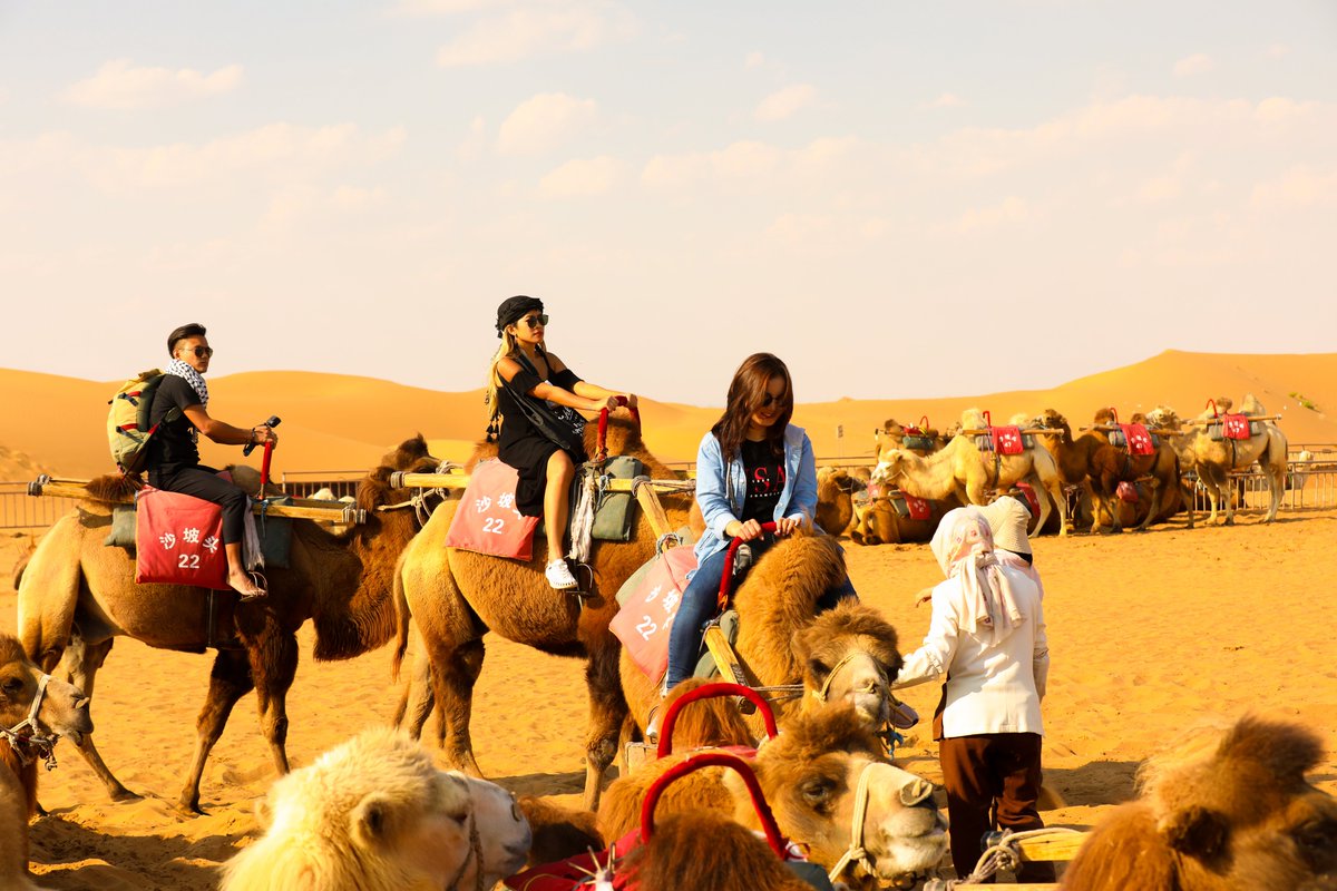 Arslan Amjad Ch (@ArslanAmjadCh1) | Twitter