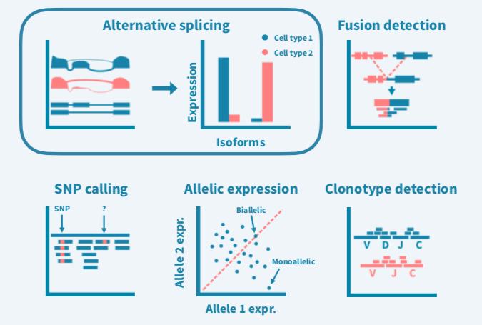 Microexpression Analysis: A Review – QOIBYX