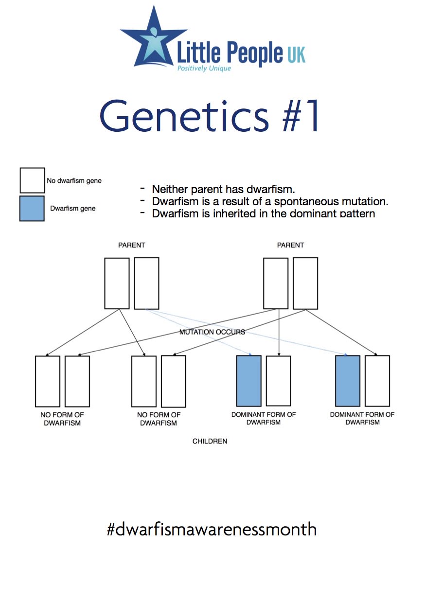 Dwarfism Gene Mutation