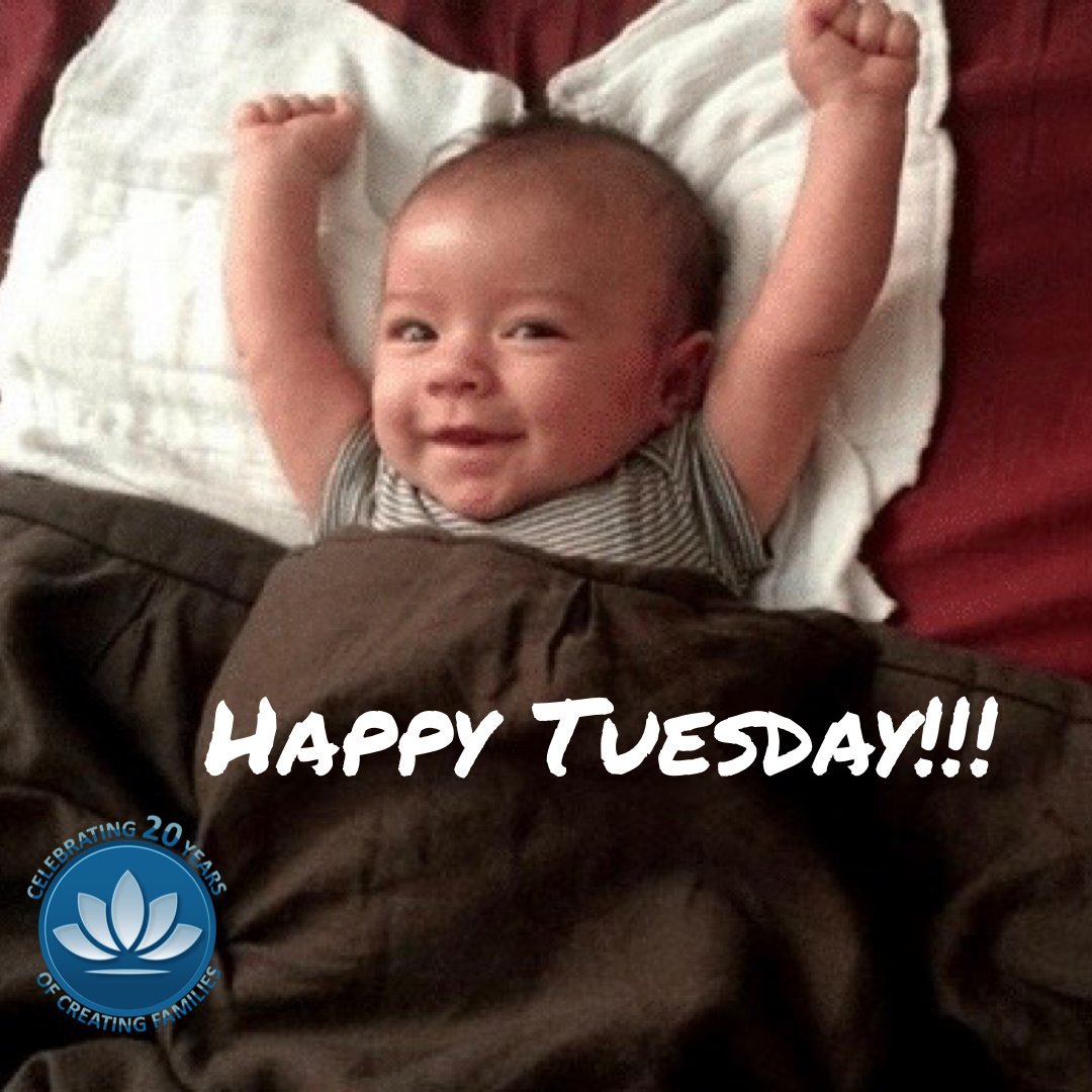 Tuesday Baby Images