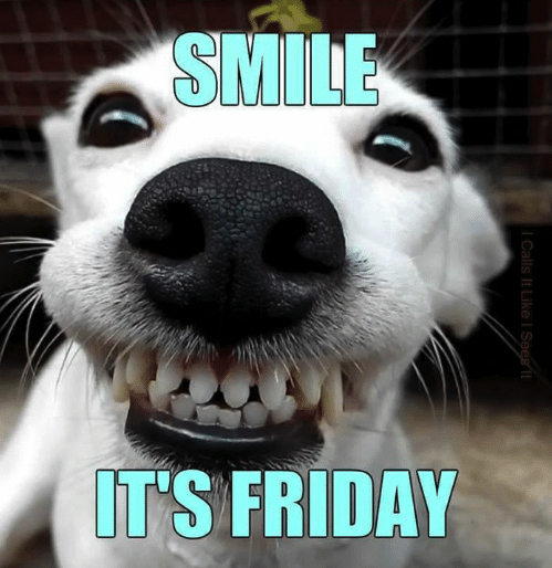 Smile Its Friday Dog