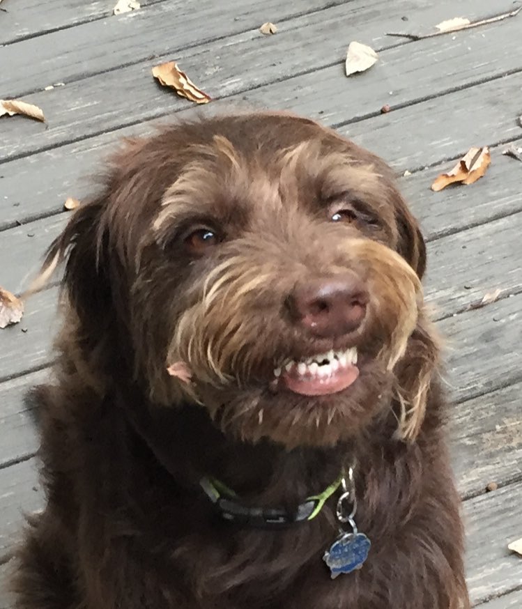 Katie MacBride (@msmacb) | Twitter