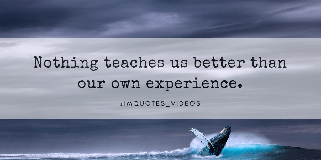 Learn From Experience Quotes