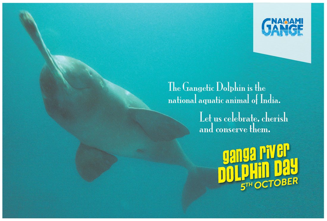 Indias National Aquatic Animal