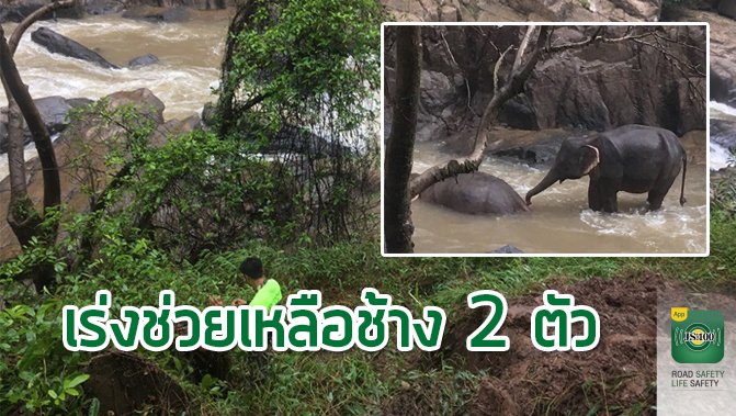 JS100 on Twitter: "ช้าง 7 ตัวลงไปช่วยช้างตัวเล็กที่ชั้นล่างของน้ำตกจนจมน้ำ เตรียมช่วยเหลืออีก 2 ...