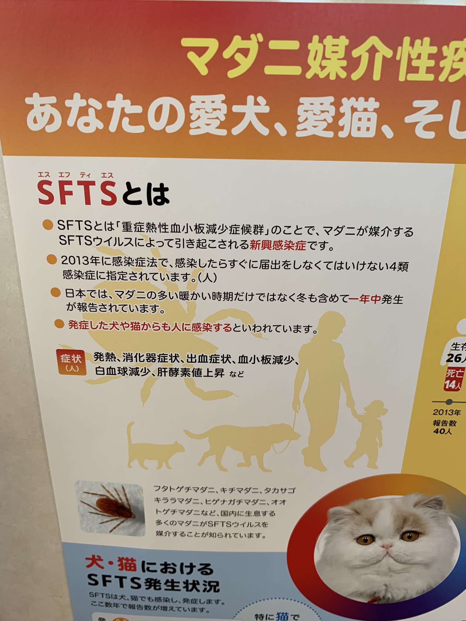 ヘンタリストNo,10 猫柱 on Twitter: "動物病院にてSFTSに関する最新のポスターを発見したので是非ともご覧下さい。特に猫を外に出す行為が危険と死と隣り合わせなのかをいま一度 ...