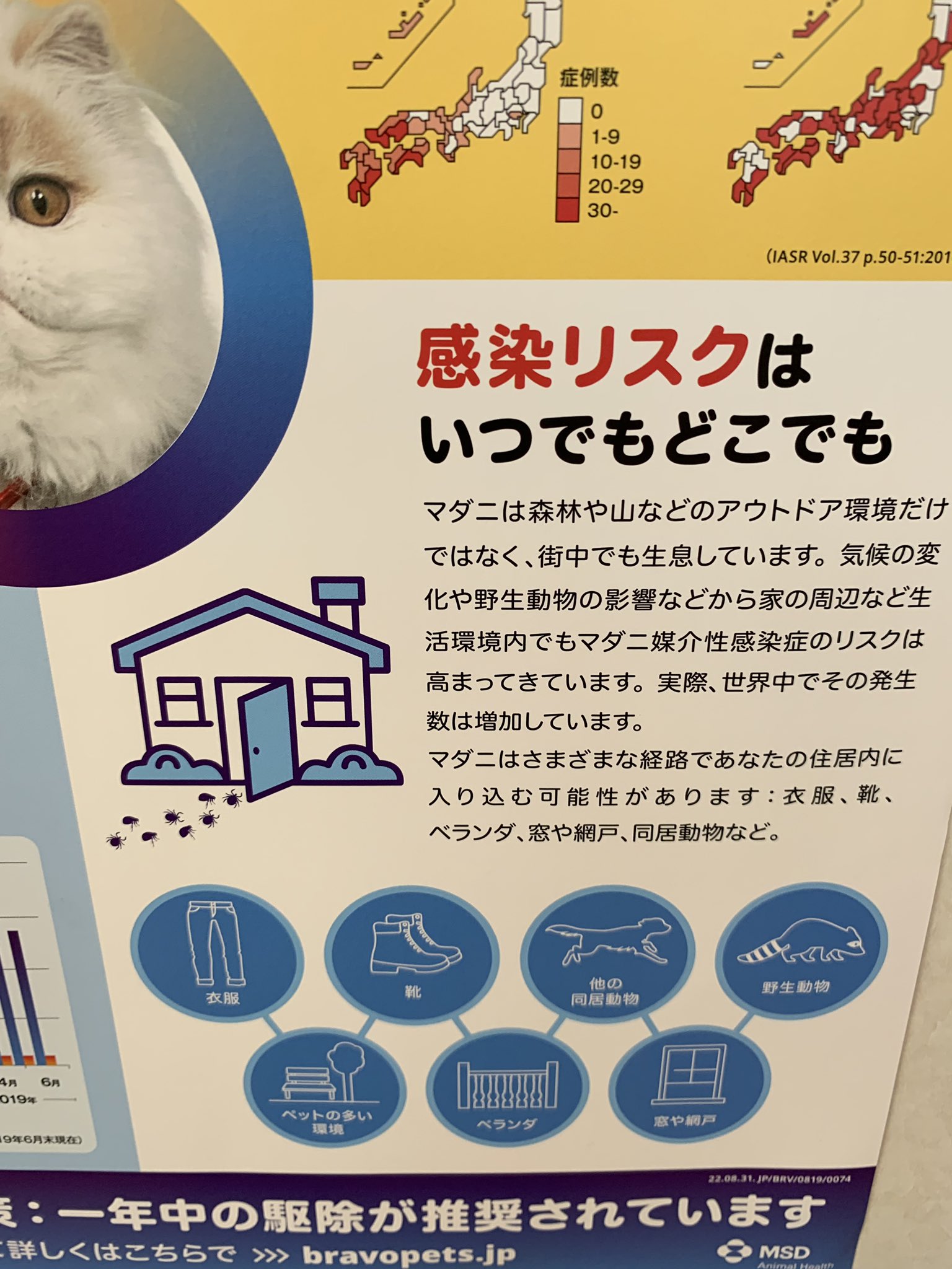 ヘンタリストNo,10 猫柱 on Twitter: "動物病院にてSFTSに関する最新のポスターを発見したので是非ともご覧下さい。特に猫を外に出す行為が危険と死と隣り合わせなのかをいま一度 ...