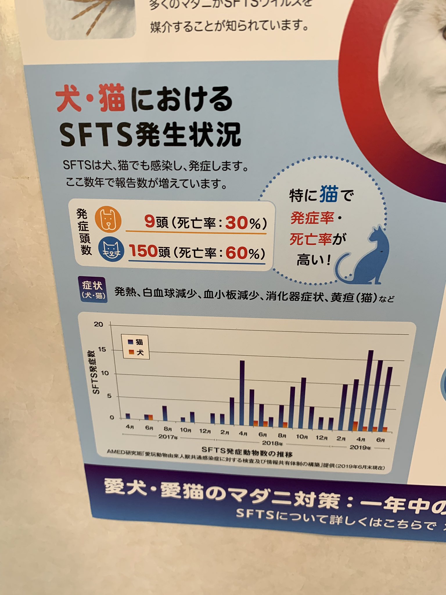 ヘンタリストNo,10 猫柱 on Twitter: "動物病院にてSFTSに関する最新のポスターを発見したので是非ともご覧下さい。特に猫を外に出す行為が危険と死と隣り合わせなのかをいま一度 ...