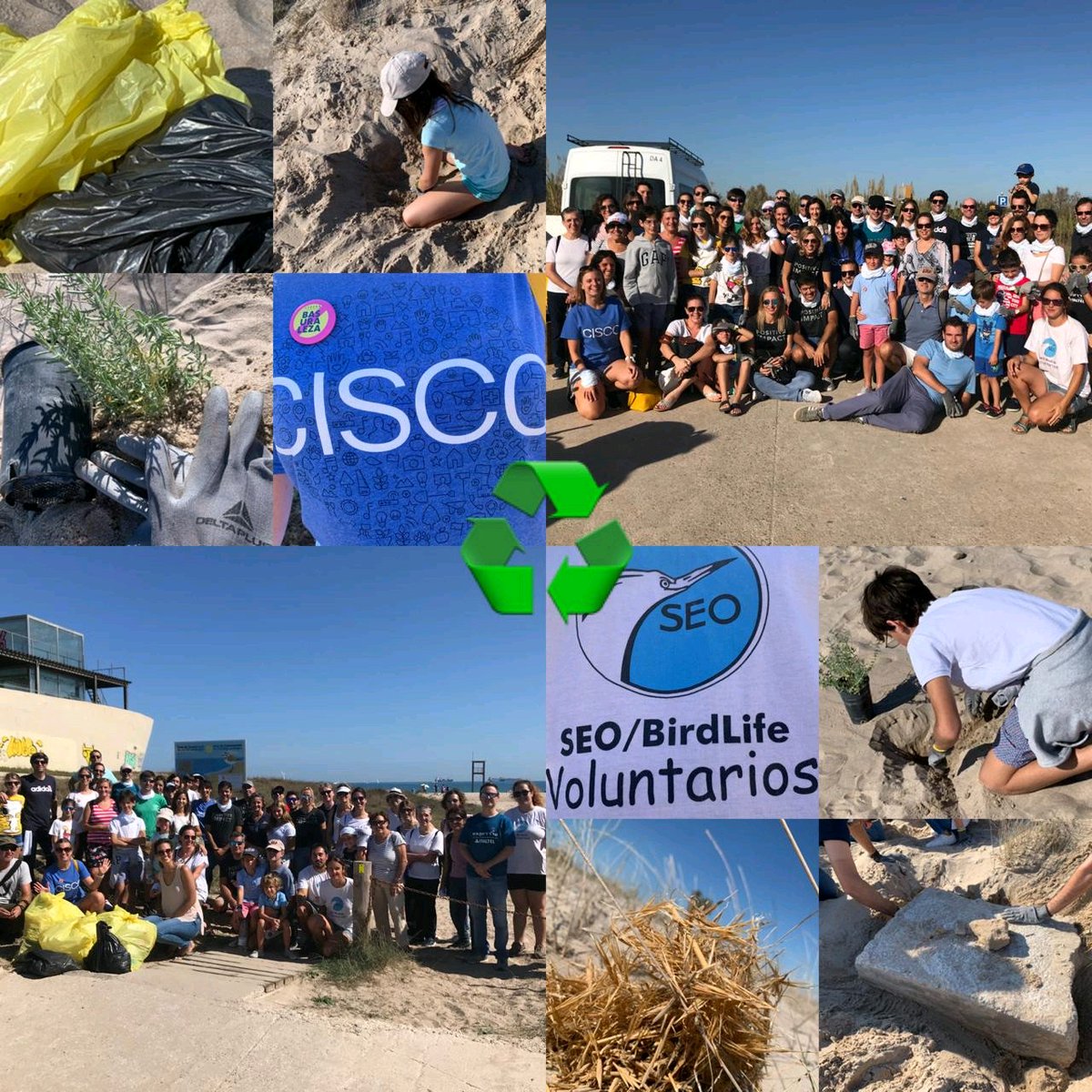 Valencia Candy Doll 8 A05