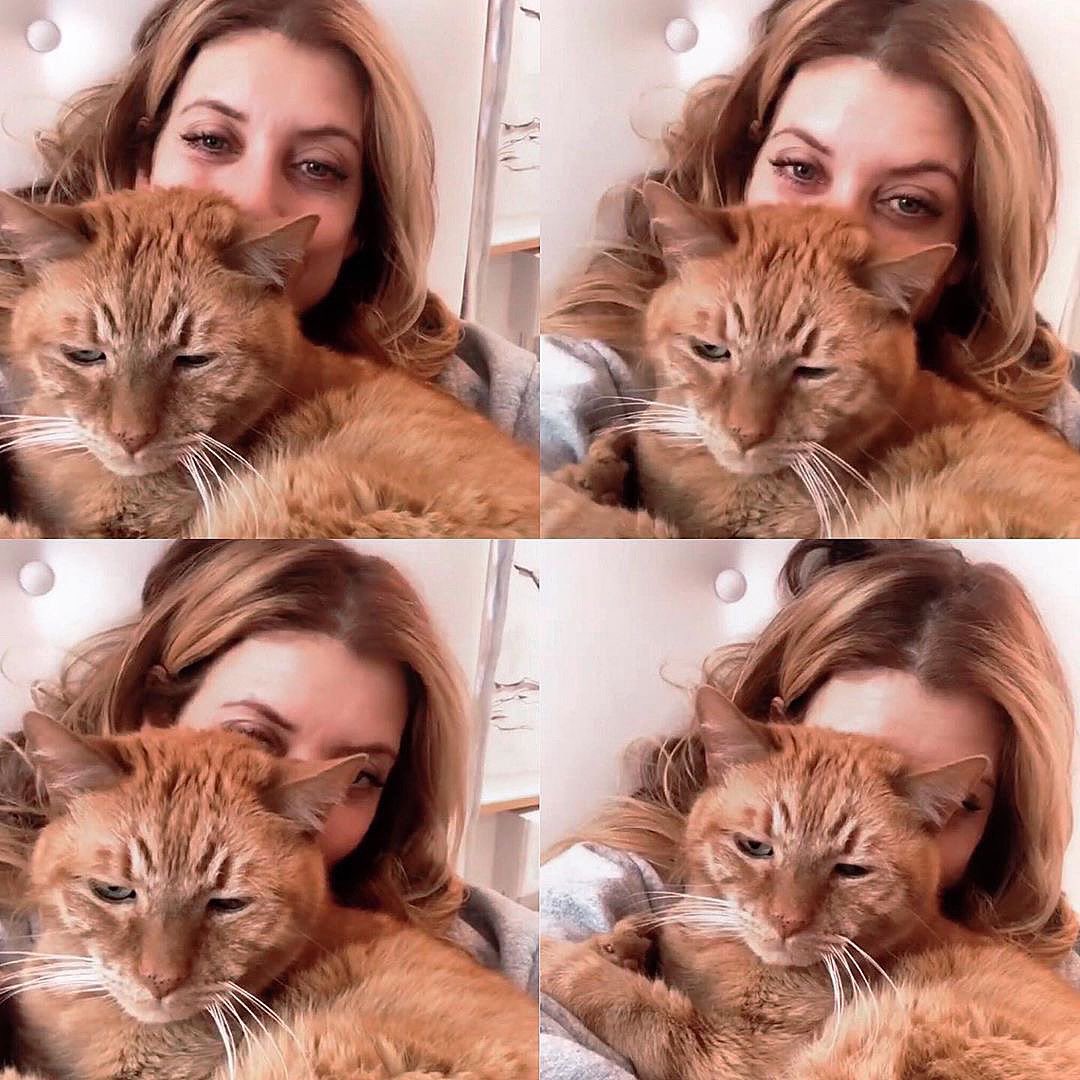 Kate Walsh - Starporträt, News, Bilder | GALA.de