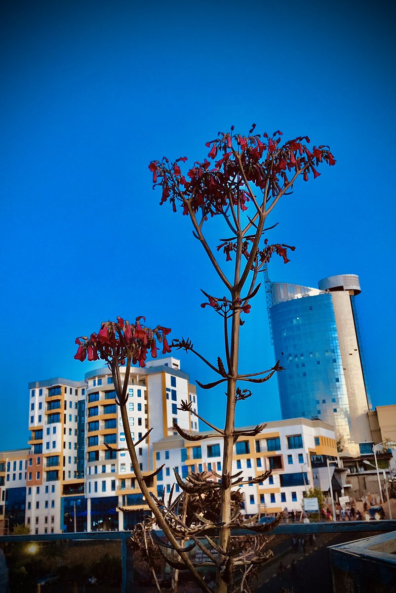 pushkin__ (@pushkin___) | Twitter