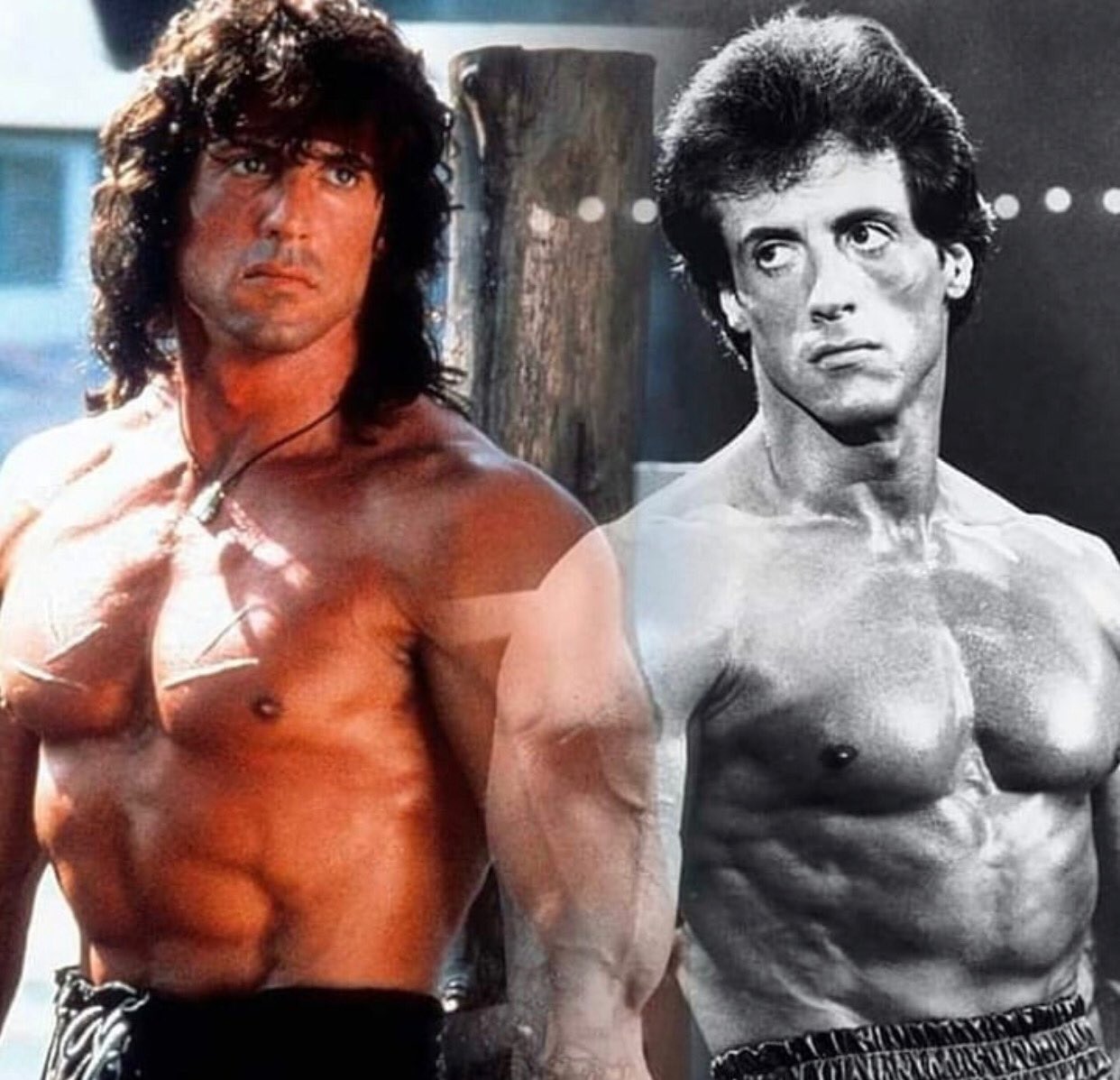 Rambo Vs Rocky