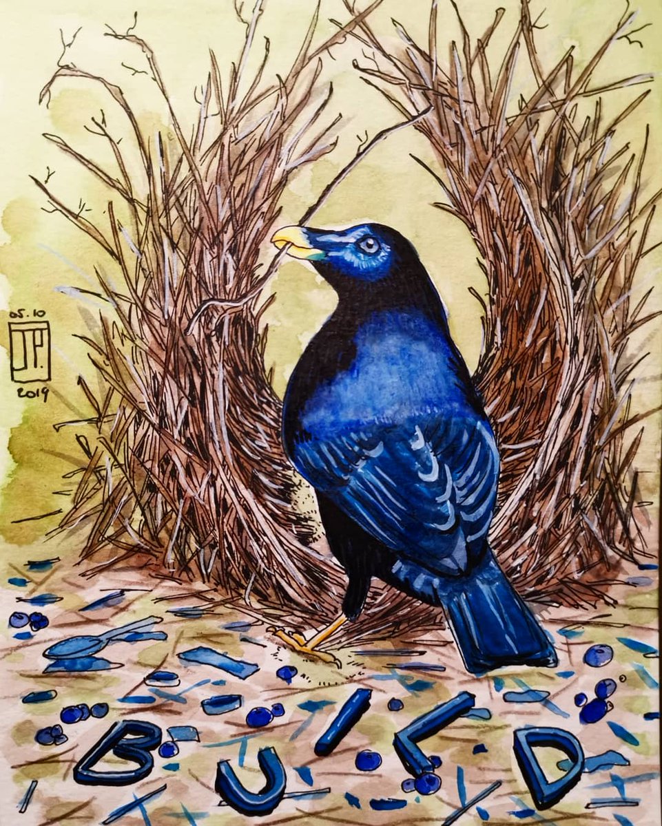 Julie Polge (@JuPolge) さんのイラスト・マンガ作品まとめ (13 件) - Twoucan
