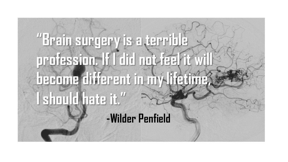 Wilder Penfield Quotes