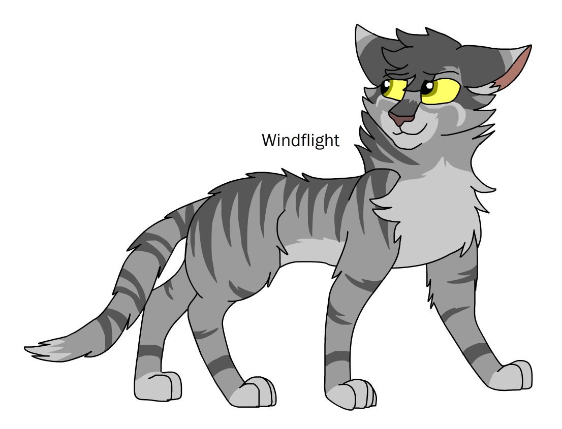 Warrior Cats Poppydawn