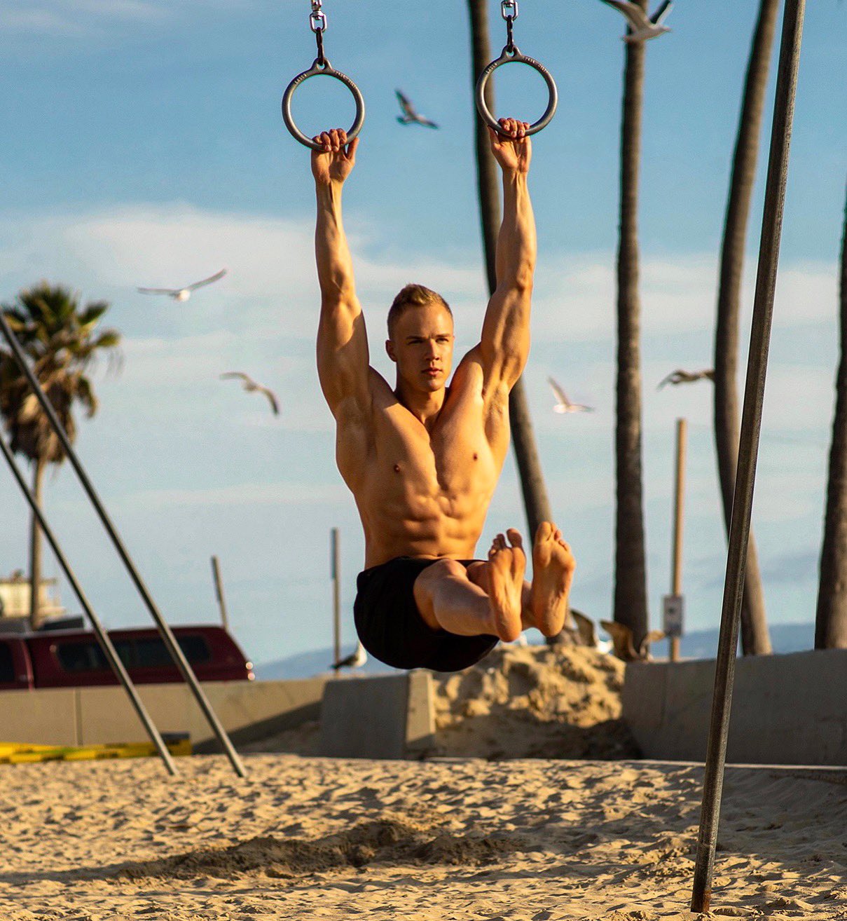 Attila Toth on Twitter: "I don’t hang out a lot but when I do I choose the local seagulls💪 100 ...