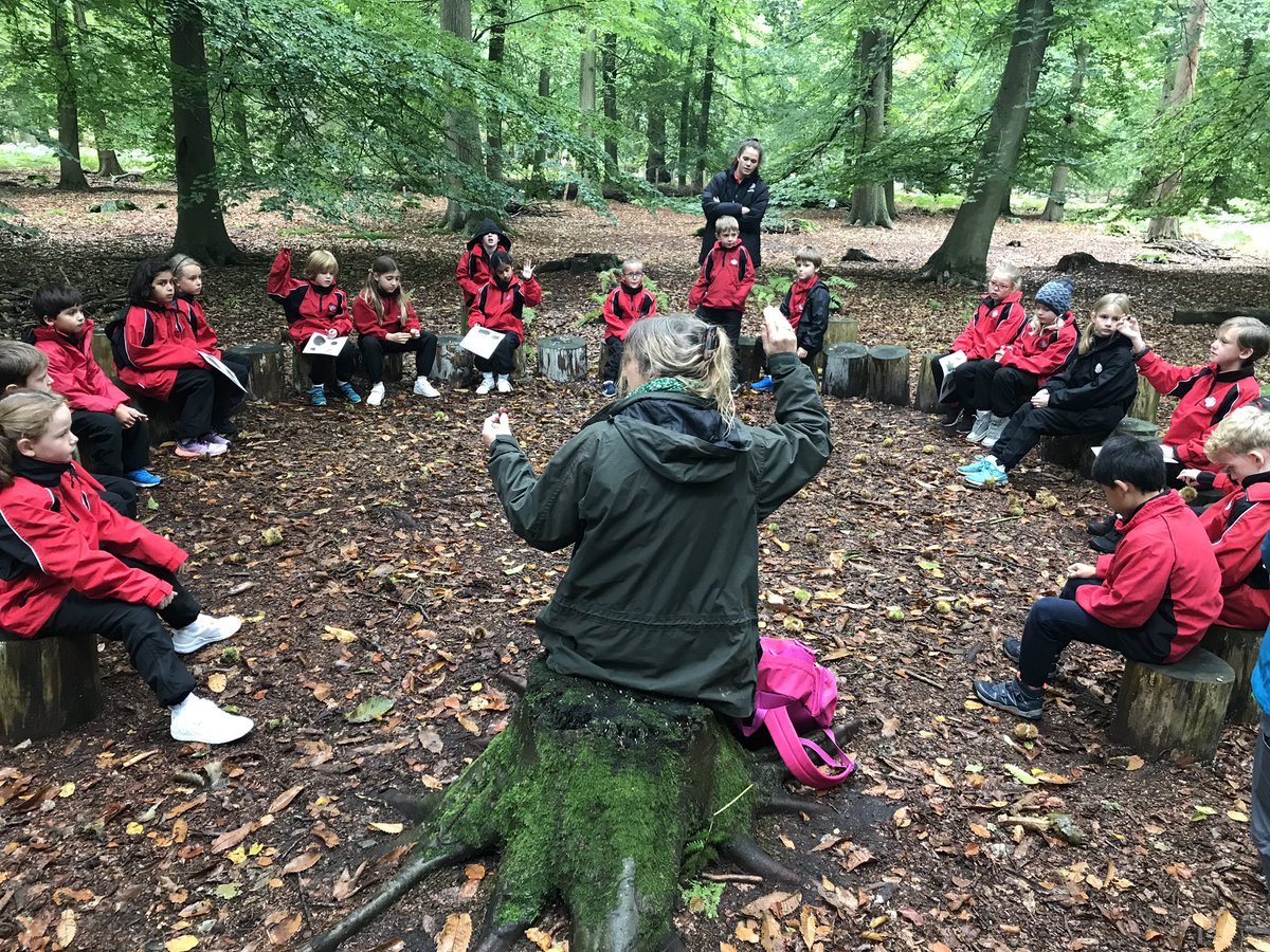 Bishopsgate School Middle on Twitter: "Year 3 have had a brilliant day investigating life cycles ...