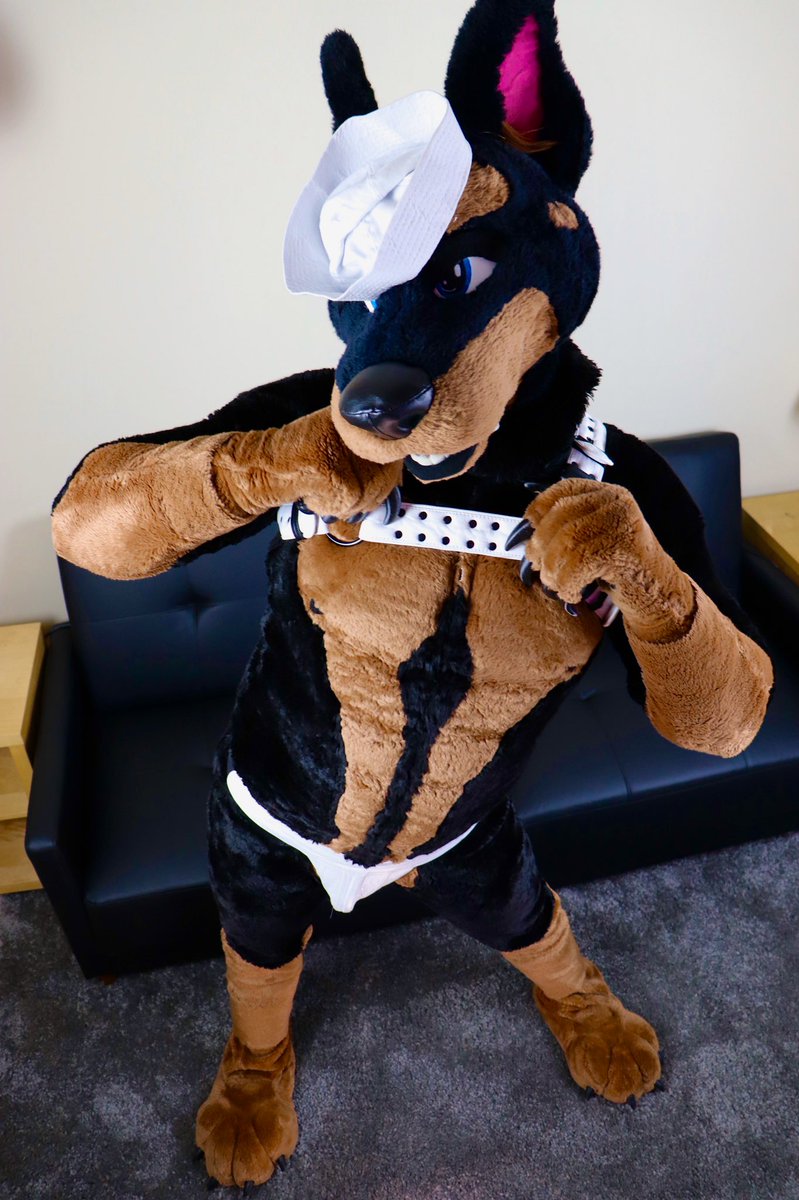 Last few of Mr. Woof Woof ᶛᴬᵈᵈᵧ Dᵘᵏℰ 👑 Dᵒᵇᵉᵣᵐₐᵑ🥃 #IstandWithUkraine🇺🇦 ...