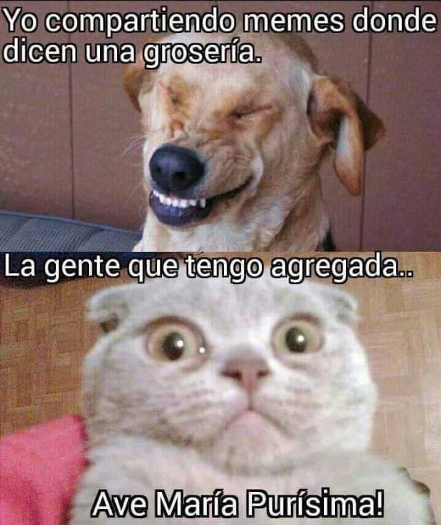 Memes De Groserias